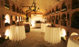 Domus Vinorum Borház és Rendezvényhelyszín - Rendezvény